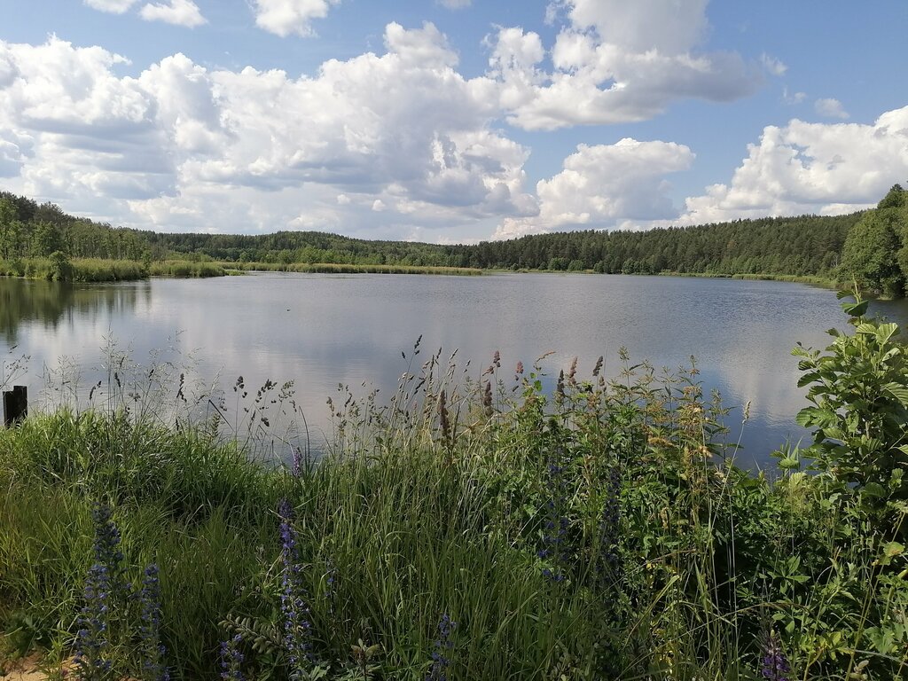 Resort oteller, tesisler Домик рыбака, Vladimirskaya oblastı, foto