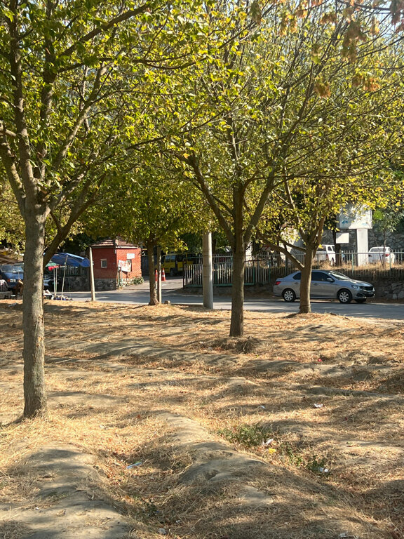 Piknik alanı Hamamlıkızık Kooperatifi Piknik Alanı, Bursa, foto