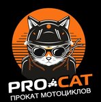 Pro-Cat (Lva Tolstogo Street No:9), oto kiralama  Saint‑Petersburg'dan