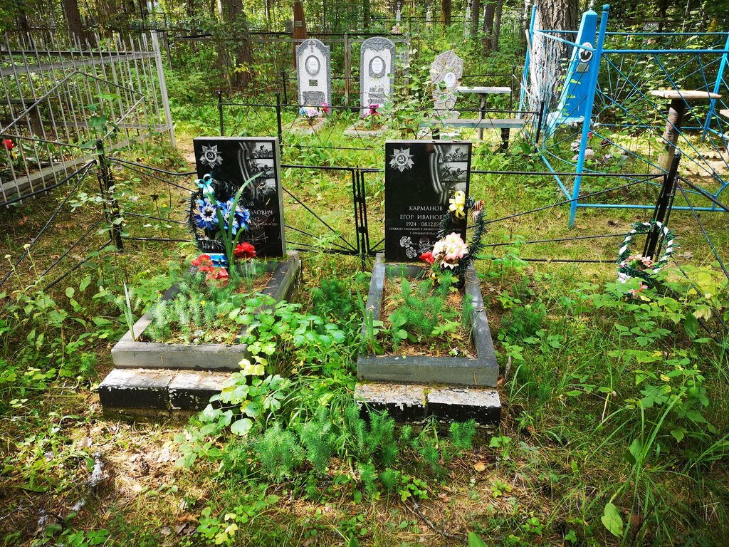 Anıt, heykel Братское кладбище советских воинов, Solvyçegodsk, foto