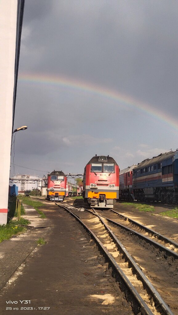 Demiryolları yönetimi ve bakımı Локомотивное депо тч-31, Velikie Luky, foto