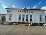 Ivacevichy Station (Bresckaja voblasć, Ivacevichy), tren istasyonu  Ivacevichi'den