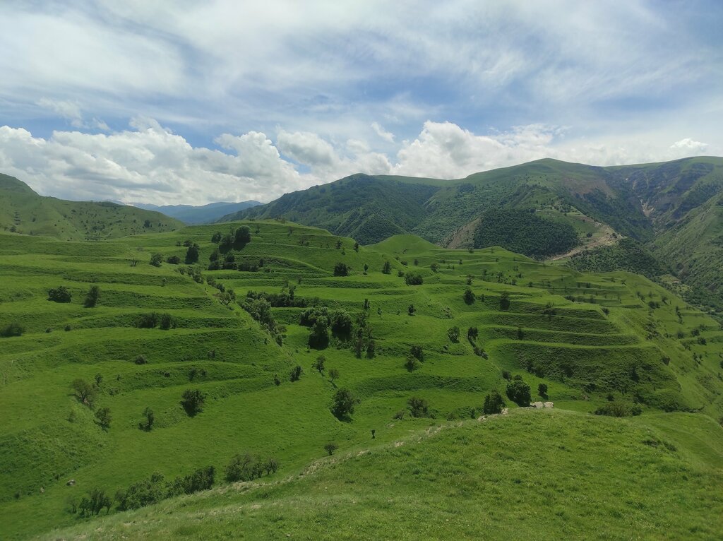 Seyahat kulübü Tur mechty, Krasnodar, foto