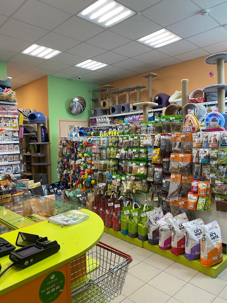 Petshop Mir Khvostatykh, Perm, foto