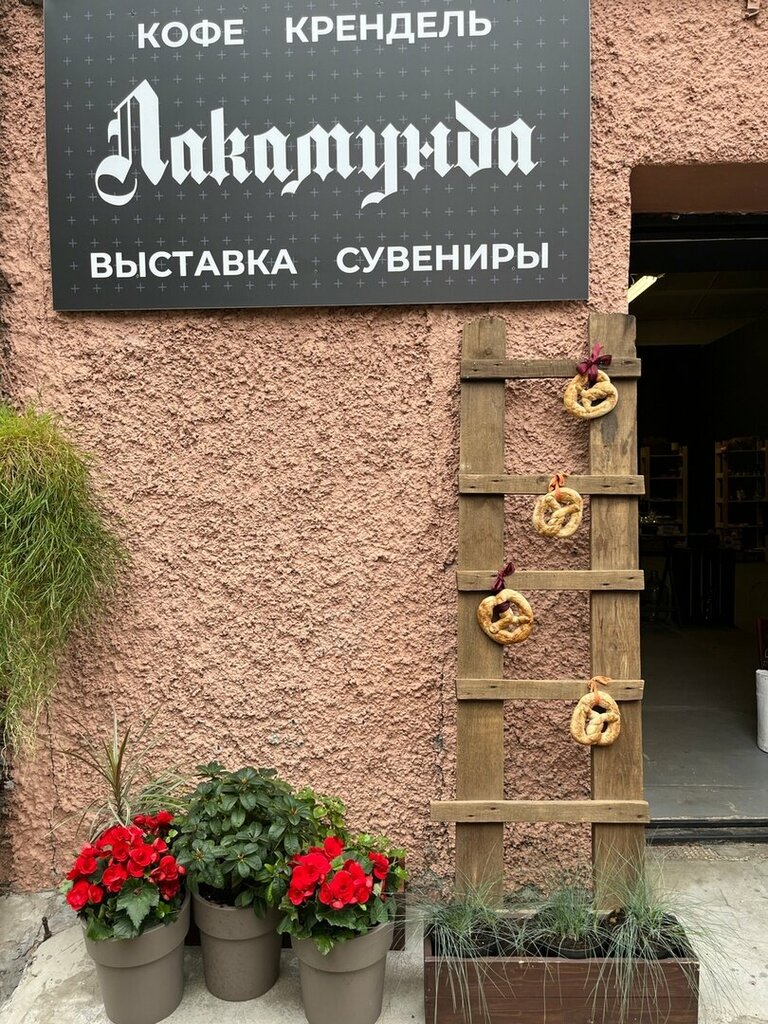 Sergi salonları, galeriler Lakamunda, Vyborg, foto