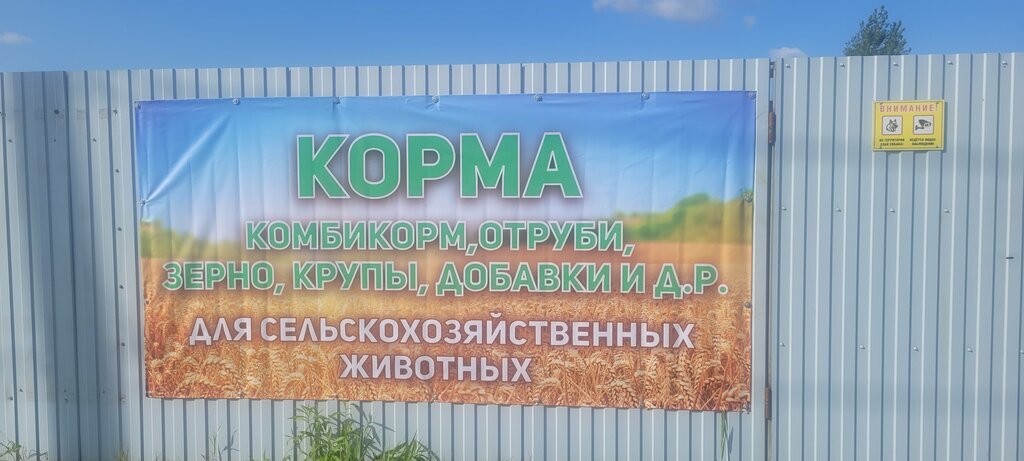 Yem ve yem katkı maddeleri Комбикорма и кормовые добавки, Briansk, foto