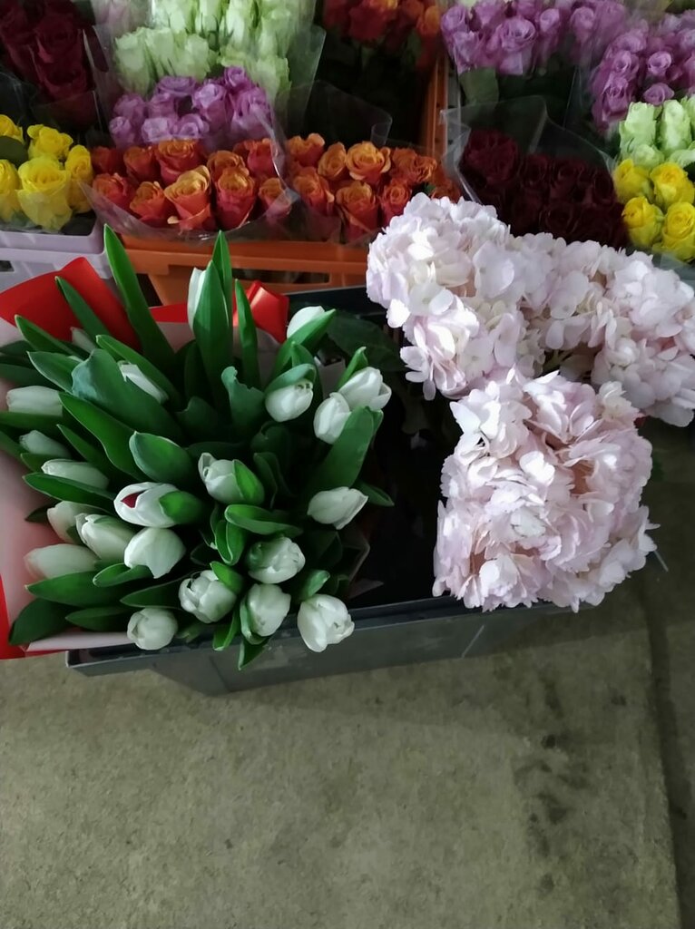 Çiçekçiler Цветы, Voronej, foto