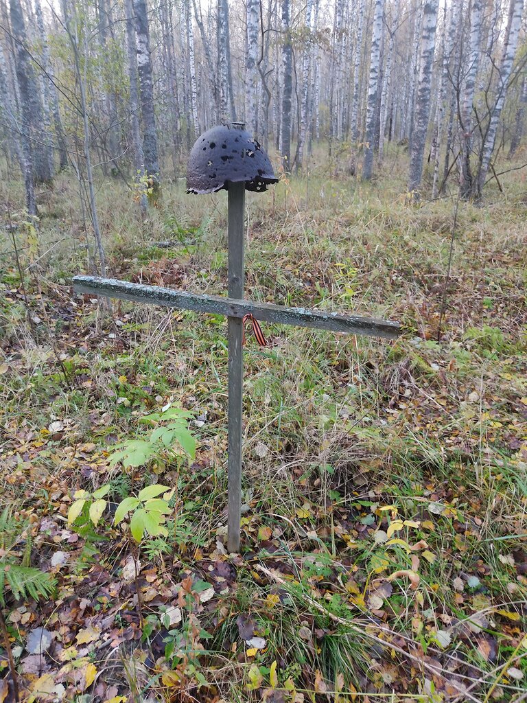 Anıt, heykel Деревянный крест на месте обнаружения останков бойца РККА, Saint‑Petersburg ve Leningradskaya oblastı, foto