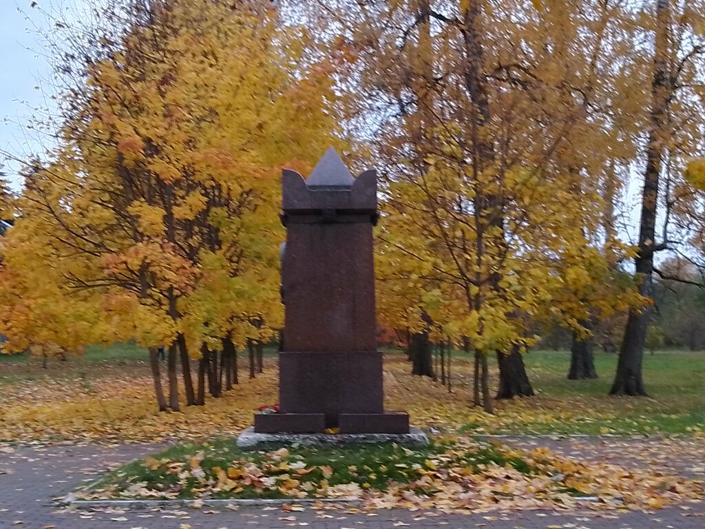 Ünlü kişilerin mezarları Grave Of A.A. Pushkin, Bronnitsy, foto