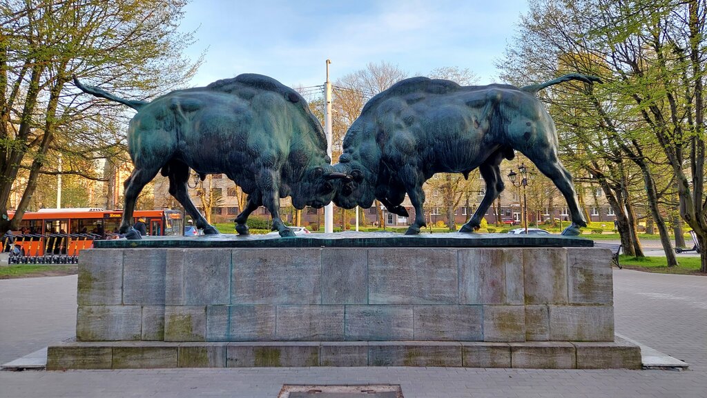 Park, sokak heykeli Wrestling Bisons, Kaliningrad, foto