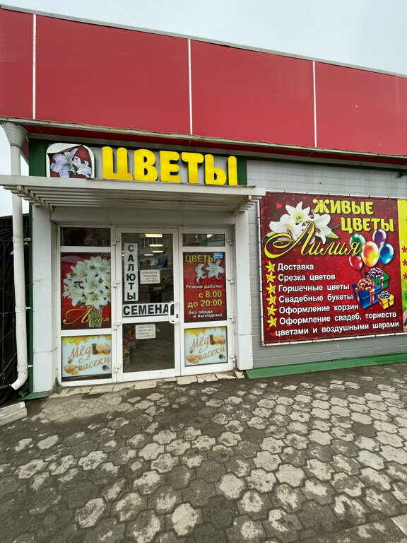 Çiçekçiler Лилия, Yasnogorsk, foto