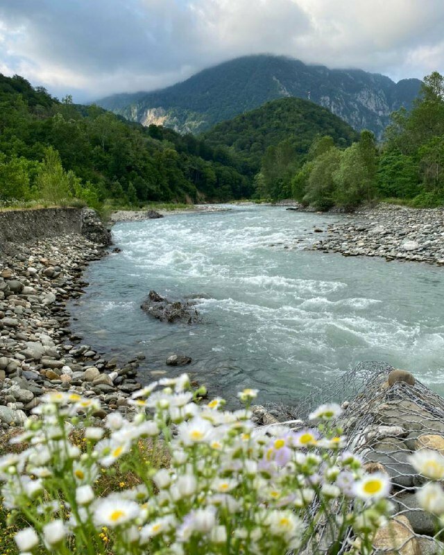 Piknik alanı Ostrov Robinson, Soçi, foto