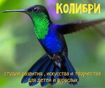 Hummingbird Magic world (Bolshaya Gruzinskaya Street No:56), sanat okulları  Moskova'dan