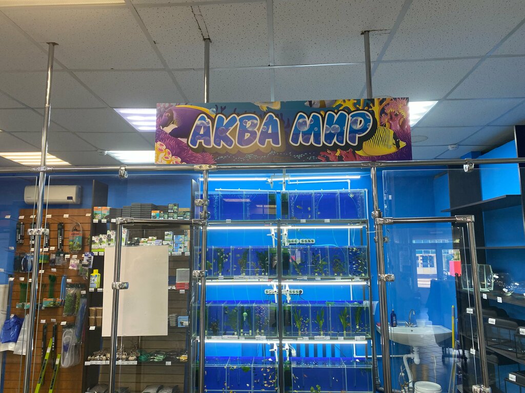 Akvaryumlar Akvamir, Elektrostal, foto