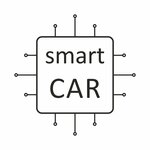 Smart Car (ulitsa Lva Tolstogo No:4), tuning  Veniov'dan