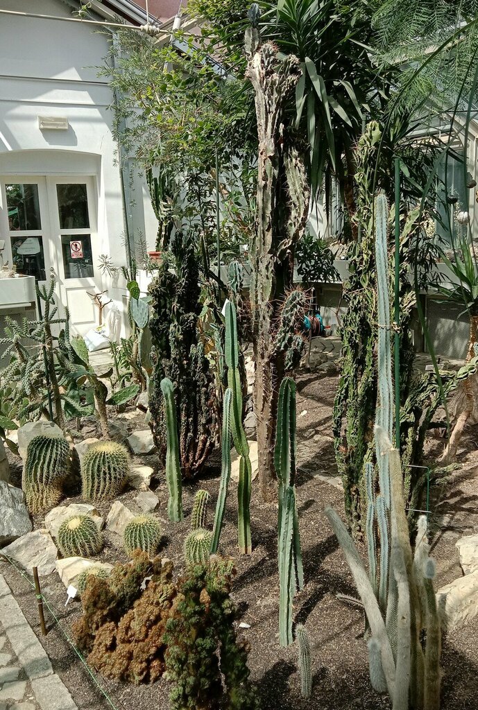 Turistik yerler Veliki Staklenik, Belgrad, foto