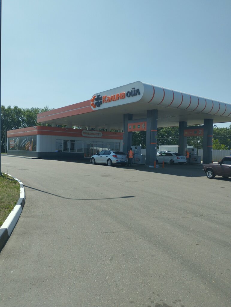 Benzin istasyonu Kalina Oil, Voronejskaya oblastı, foto