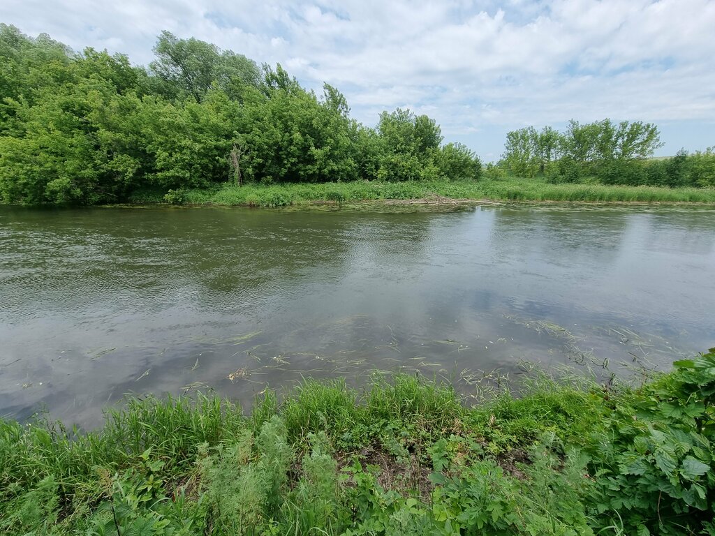 Plaj Пляж, Orenburgskaya oblastı, foto