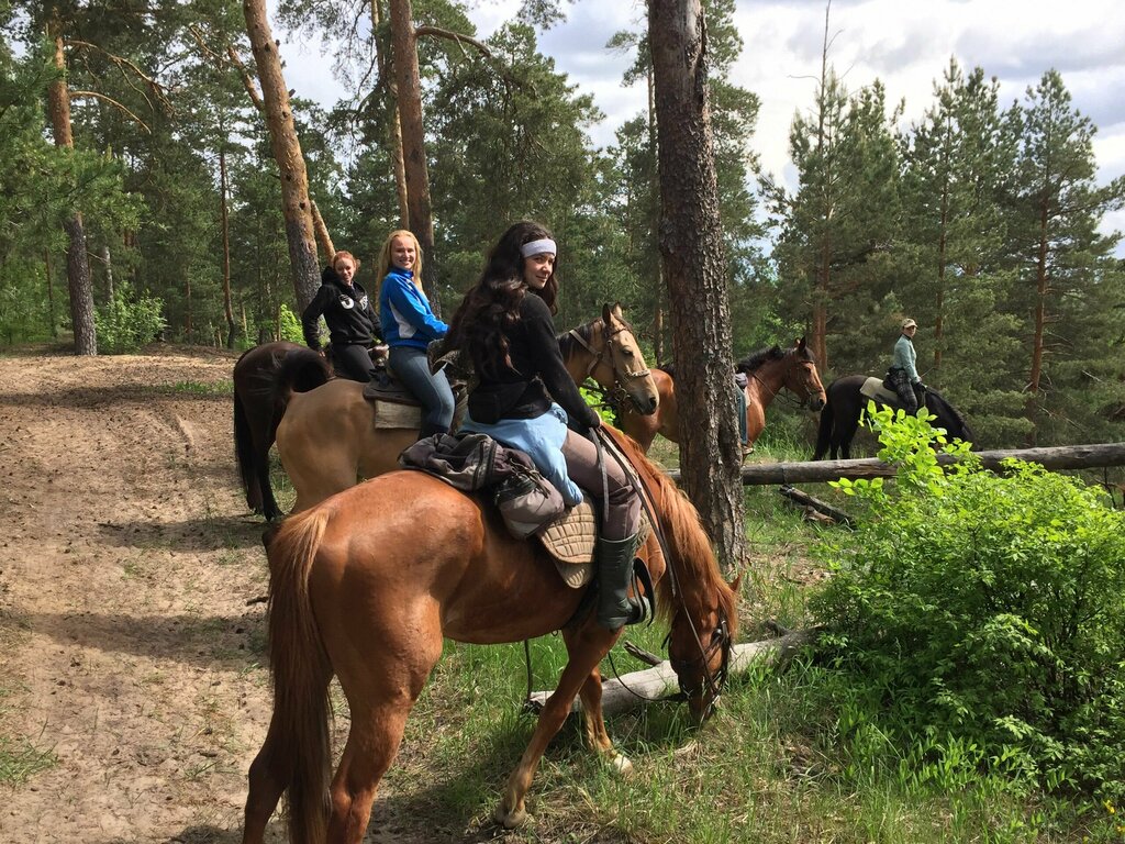 At ve binicilik kulüpleri Конь-Огонь, Nijegorodskaya oblastı, foto