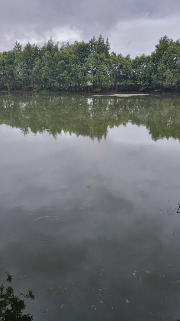 Piknik alanı Место для пикника, Moskova ve Moskovskaya oblastı, foto