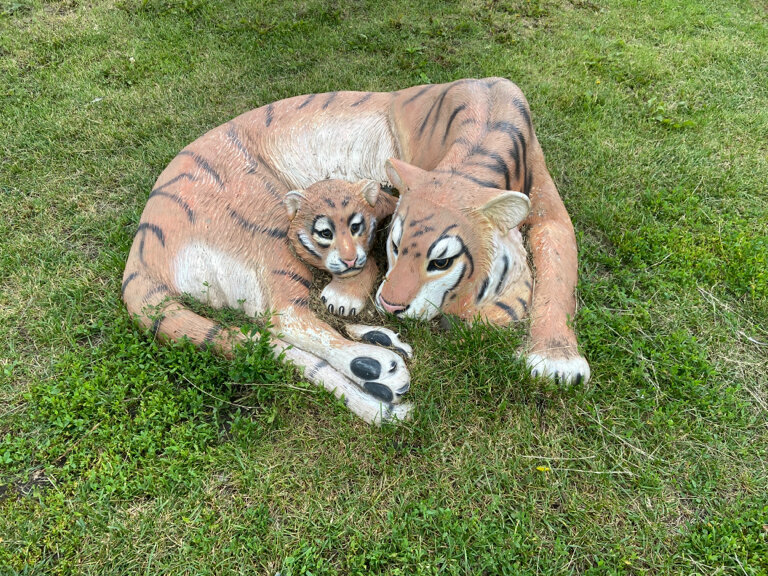 Park, sokak heykeli Тигр и тигрица, Çaplygin, foto