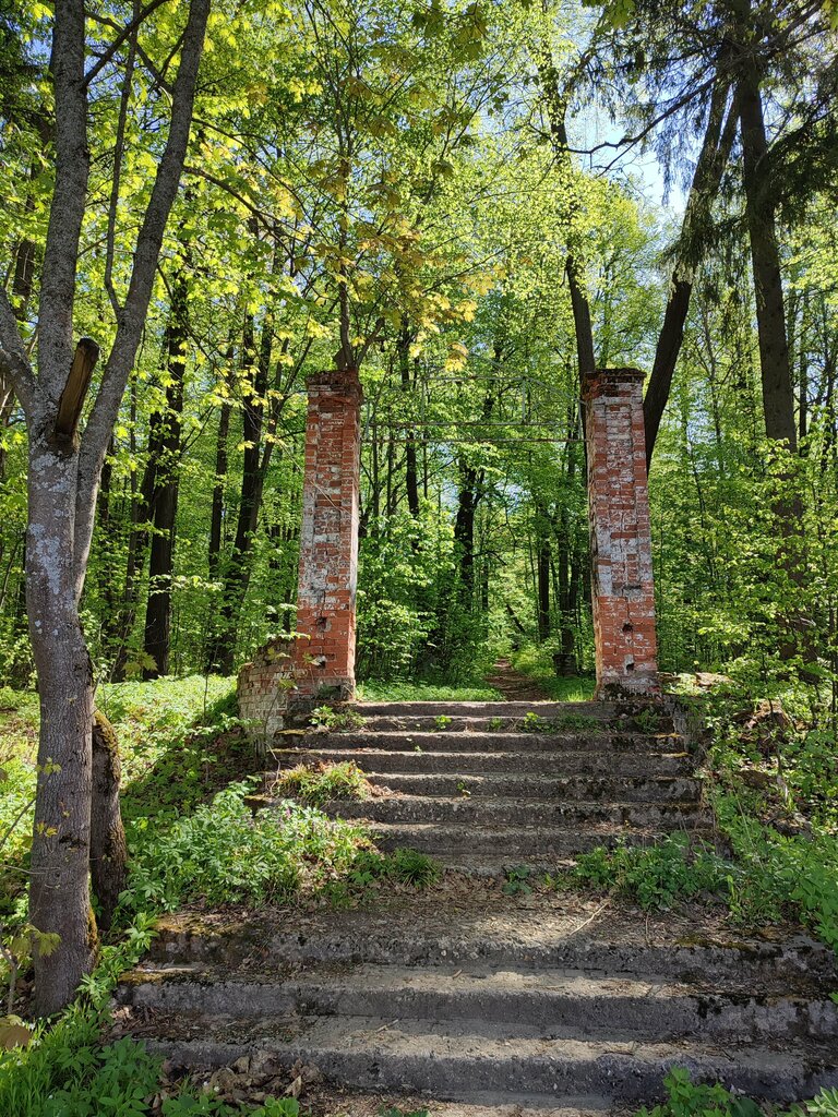 Turistik yerler Усадьба Ново-Неклюдовых, Moskova ve Moskovskaya oblastı, foto