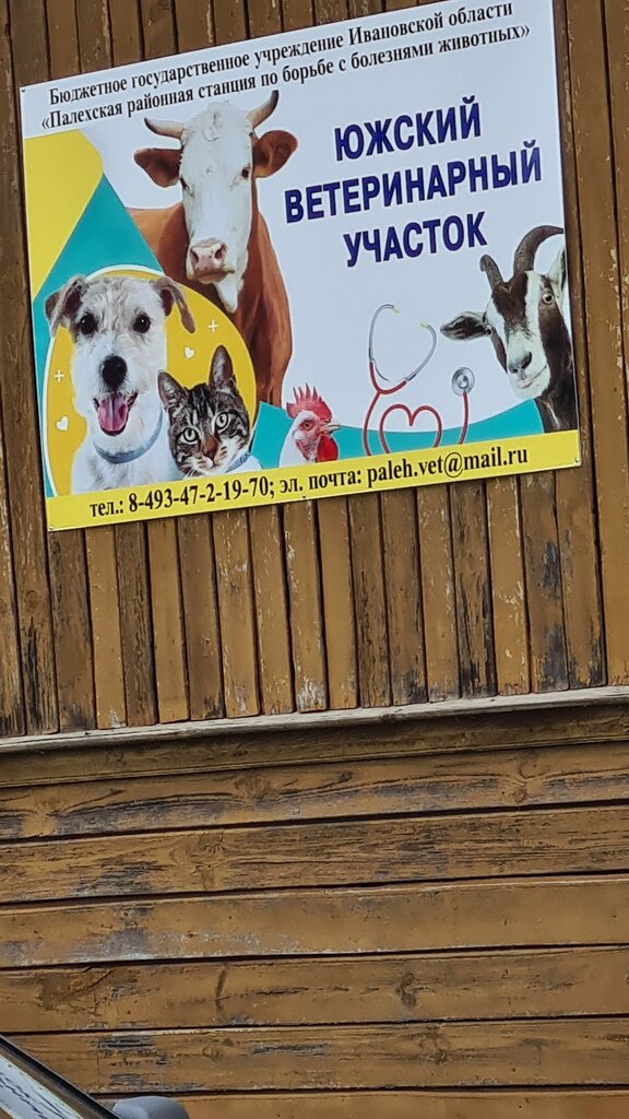 Veteriner klinikleri Ветлечебница, Yuja, foto