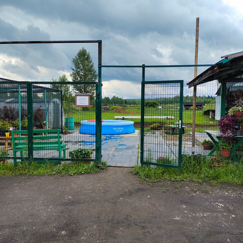 Sera ve bahçe ürünleri Myskovsky agropitomnik, Myski, foto