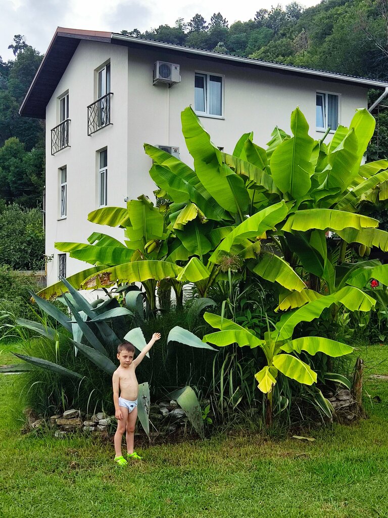 Konuk evi Guest House u Svetlany Sochi, Soçi, foto