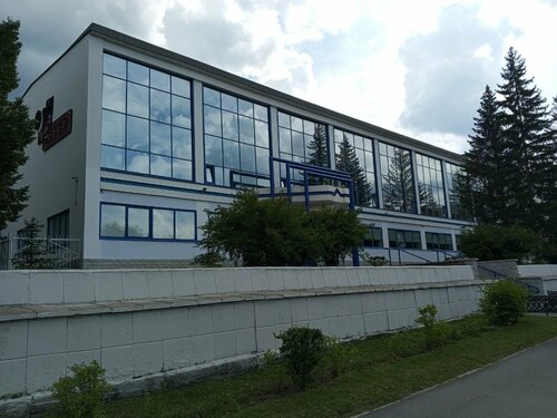 Çok amaçlı spor tesisleri Zarya, Miass, foto