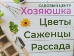 Хозяюшка (ulitsa Volodarskogo No:47), ev temizlik ürünleri  Lodeynoe Pole'den