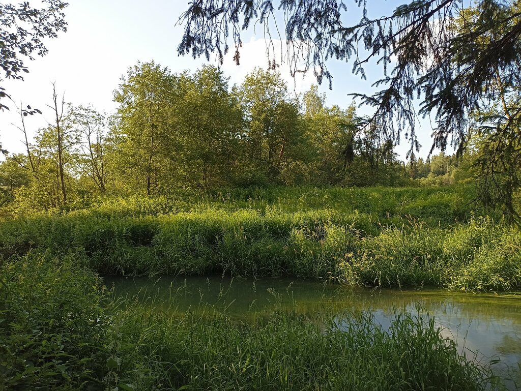 Kuyu Well, Moskova ve Moskovskaya oblastı, foto