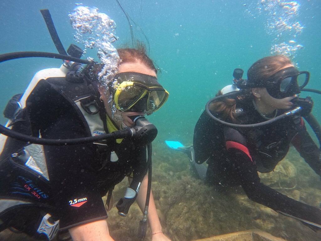 Dalış kulüpleri ve eğitim merkezleri Дайвинг центр Нептун, Krasnodarski krayı, foto