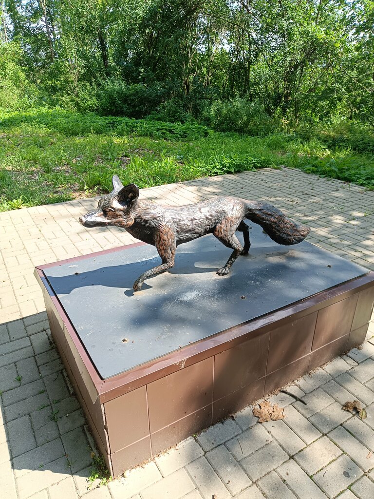 Kültür ve eğlence parkları Салтыковский парк, Smolenskaya oblastı, foto