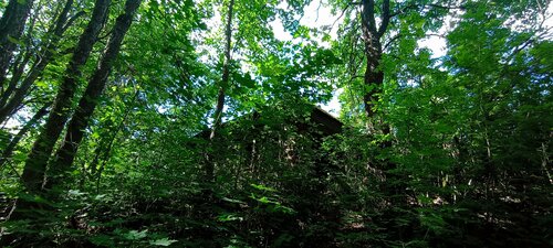 Müzeler ve sanat galerileri Дом-музей Красного командира С.З. Зонова, Kirovskaya oblastı, foto