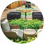Souq Garden (Warsan 3, Mushraif, Dubai), sera ve bahçe ürünleri  Dubai'den
