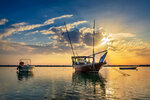 Aden Gulf Fisheries Co. LLC (Dubai, Deira, Port Saeed, 19A Street, 2), balık ve deniz ürünleri  Dubai'den
