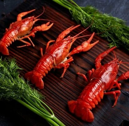 Balık ve deniz ürünleri Crayfish_and_shrimp, Moskova ve Moskovskaya oblastı, foto