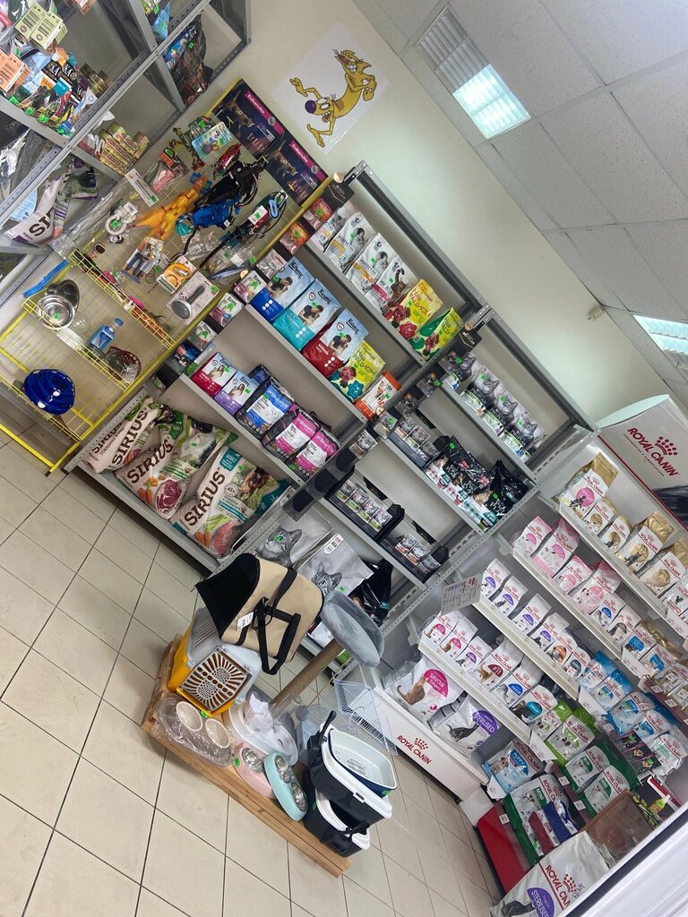 Petshop Catdog, Pskov, foto