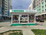 Роспечать (Sverdlovsk Region, Yekaterinburg, mikrorayon Akademicheskiy, 5-y kvartal), gazete bayi  Yekaterinburg'dan
