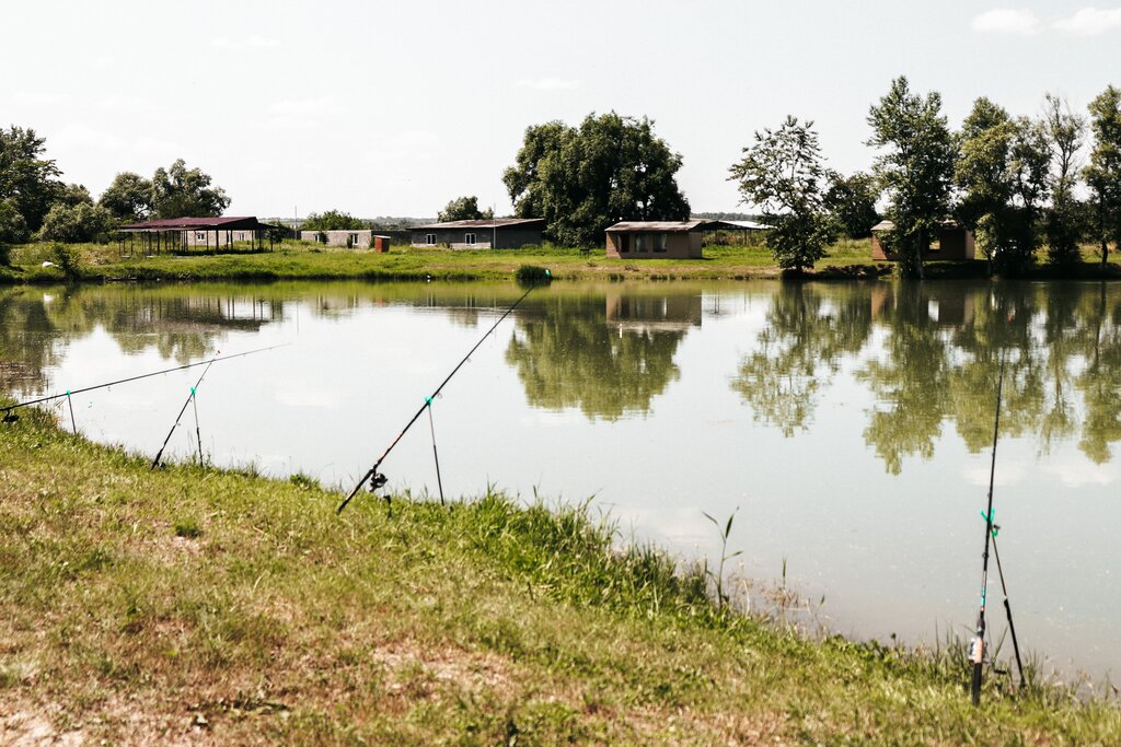 Resort oteller, tesisler Казачий Хутор, Stavropolski krayı, foto