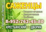 Крестьянский дворик (ulitsa Popova No:1), fidan yetiştiriciliği  Lyskovo'dan