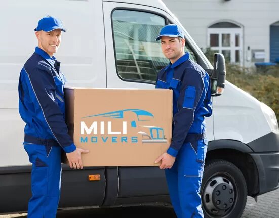 Taşımacılık hizmetleri Movers packers in dubai, Dubai, foto
