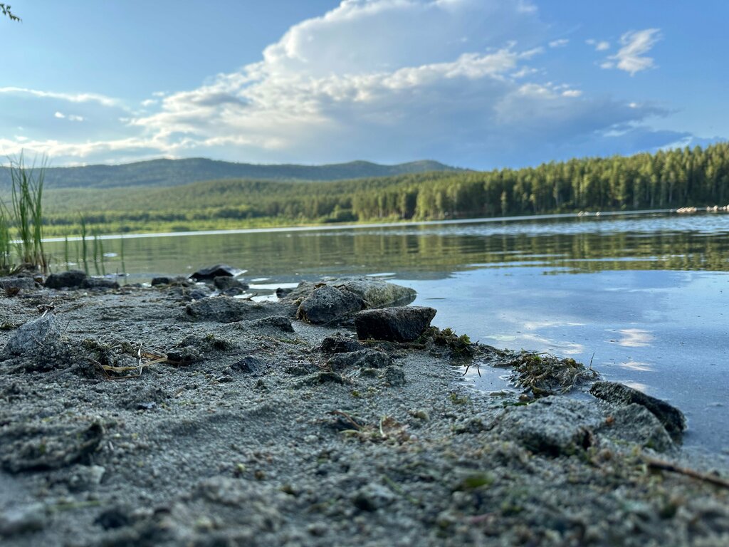 Piknik alanı Место для пикника, Çeliabinskaya oblastı, foto