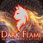 Dark flame (Lizyukov street No:47), evcil hayvan yetiştiricileri  Voronej'den