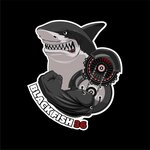 Black Fish 36 (ulitsa Konstruktorov No:60А), kaplama hizmetleri  Voronej'den