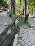 Целебный источник (kray Samtskhe-Dzhavakheti, Borjomi Municipality, Recreational park and mineral spring), pınar, çay