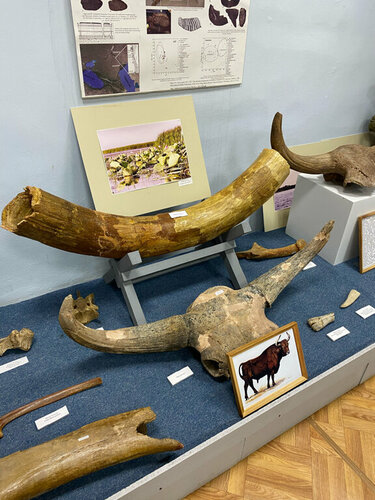 Müzeler ve sanat galerileri Историко-краеведческий музей села Черный Яр, Astrahanskaya oblastı, foto