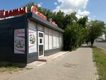Sara (Astana, Shiderti oramy), çiçekçiler  Astana'dan