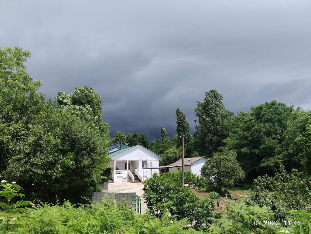 Resort oteller, tesisler Дом отдыха у Ларисы, Gudauta Bölgesi, foto